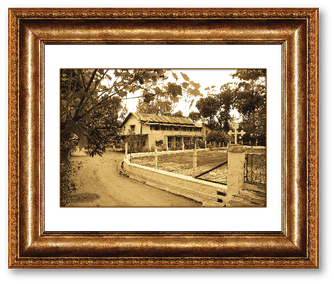 Unravelling The History of Leo Coffee - Leo Coffee