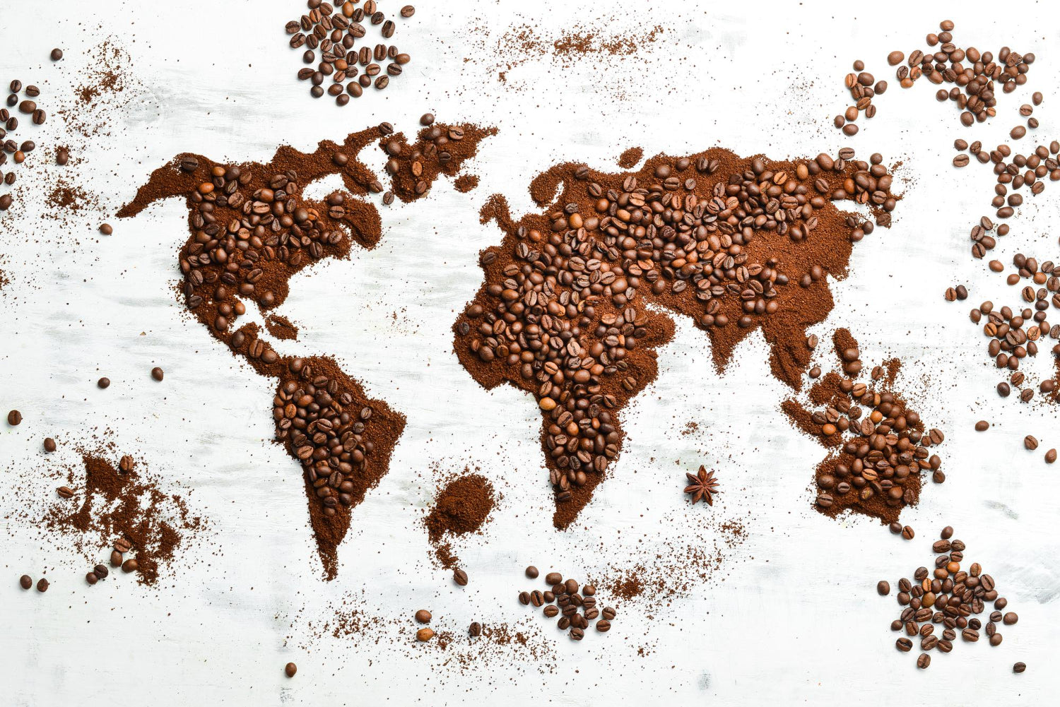 Unique Coffees: Exploring the Top 12 Varieties Worldwide - Leo Coffee